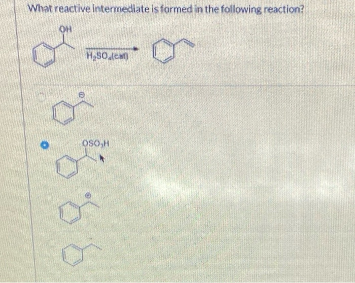 Solved What reactive intermediate is formed in the following | Chegg.com