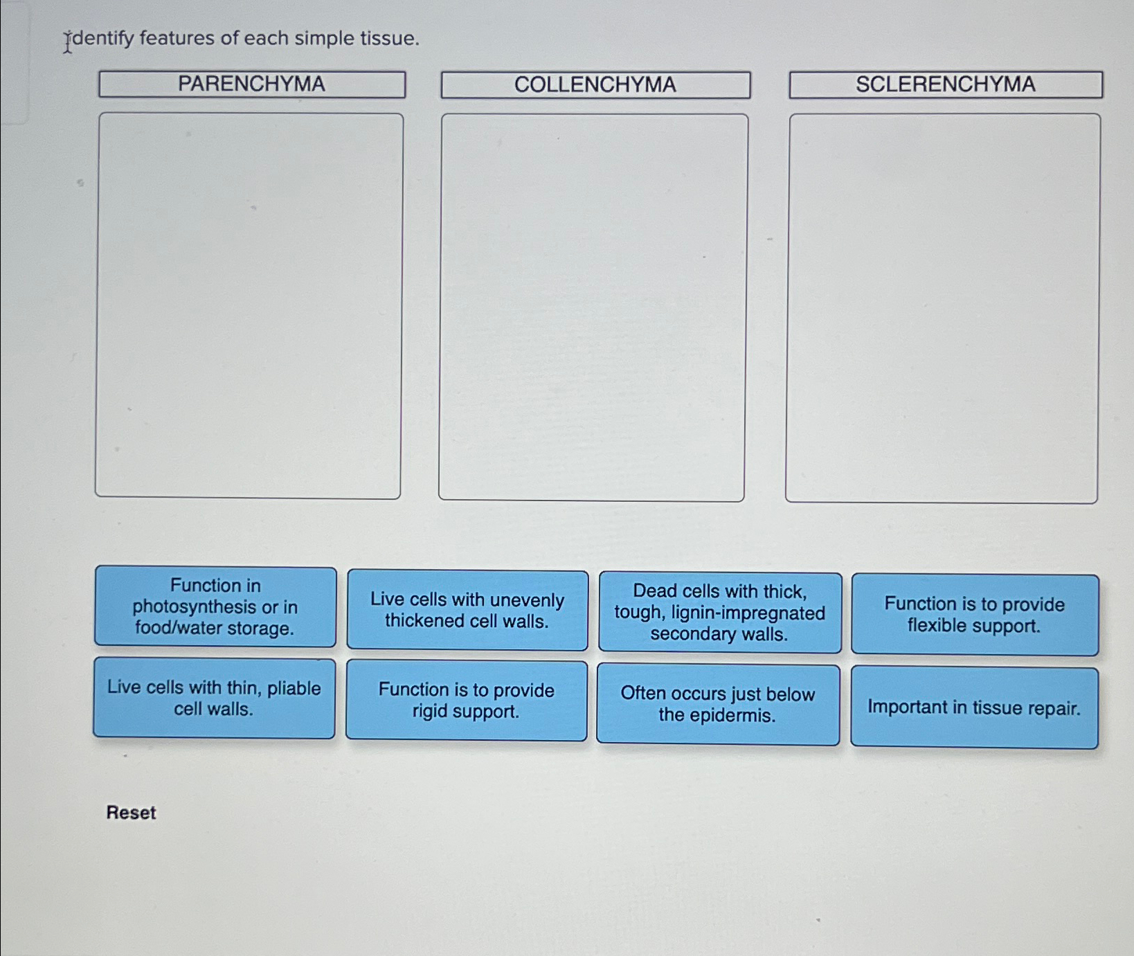Solved Yidentify features of each simple | Chegg.com