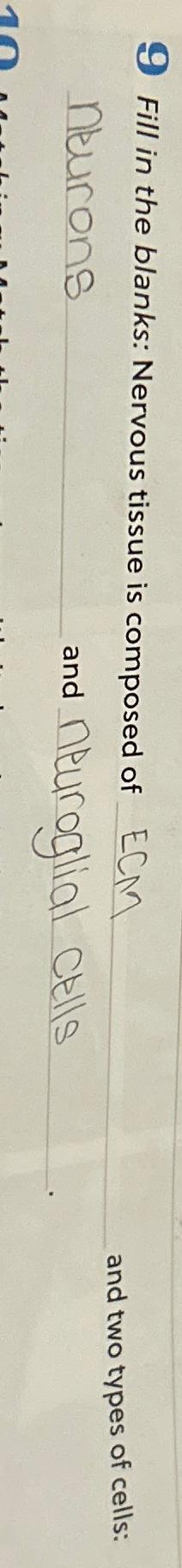 Solved 9 ﻿Fill in the blanks: Nervous tissue is composed of | Chegg.com
