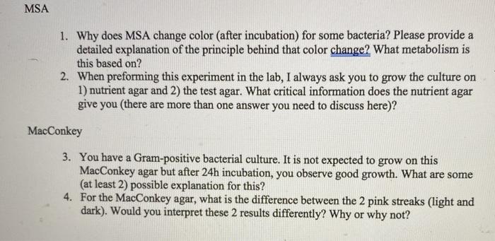 Solved MSA 1. Why does MSA change color (after incubation) | Chegg.com