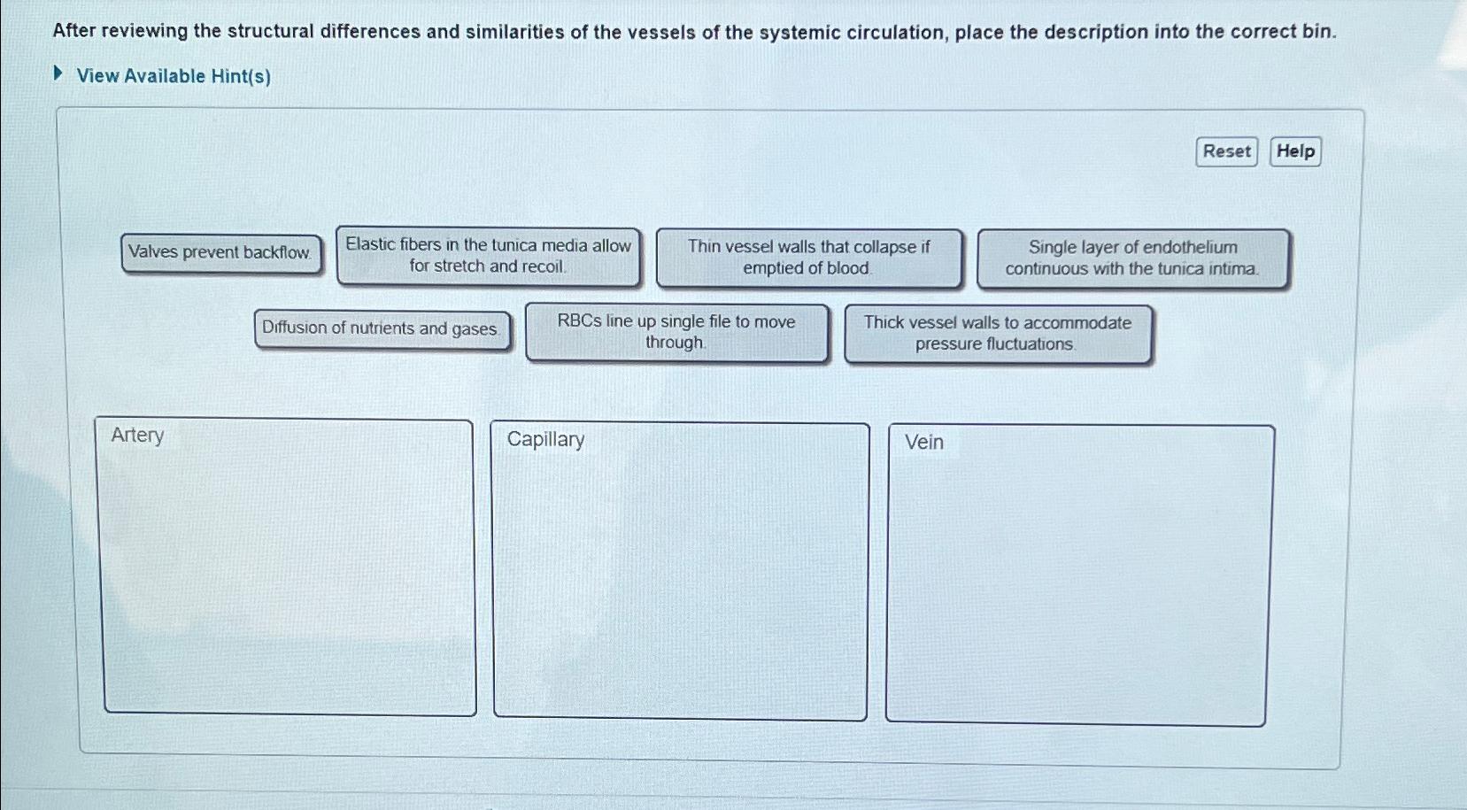Solved After reviewing the structural differences and | Chegg.com