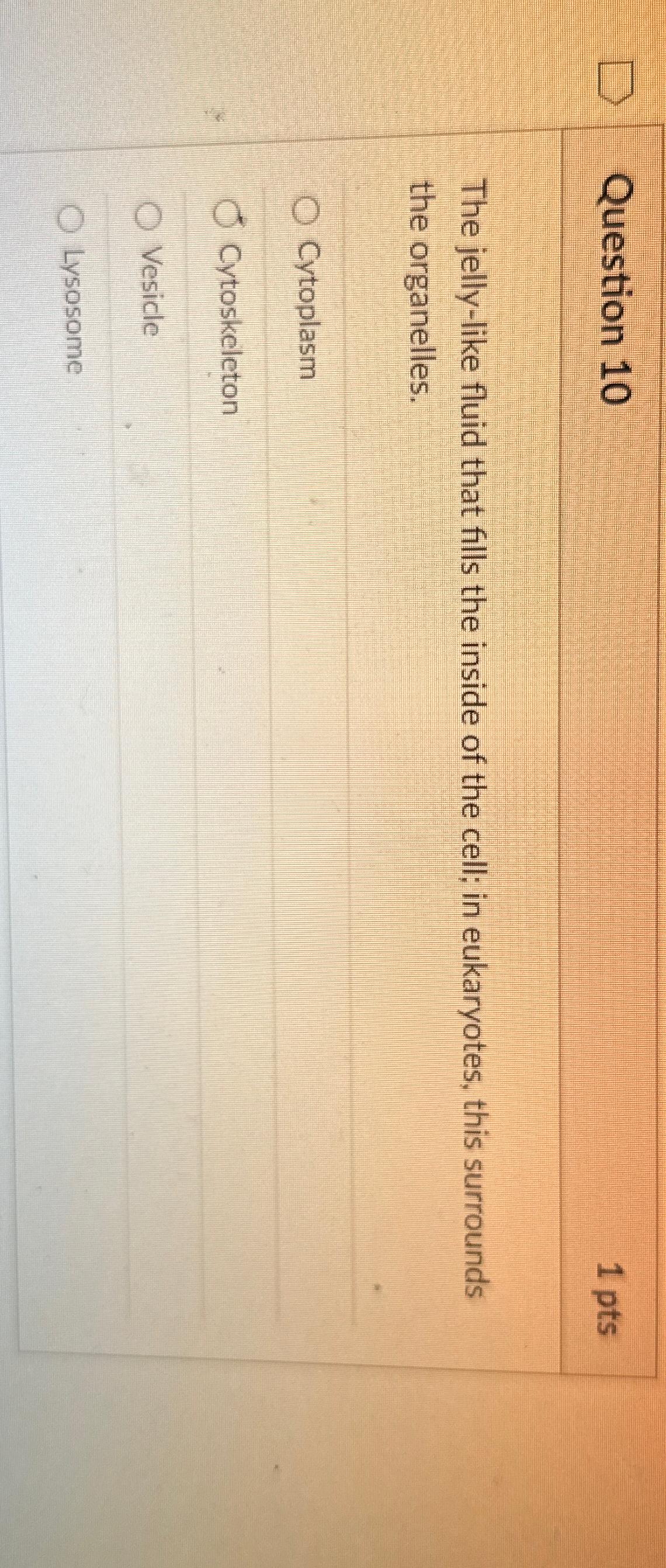 Solved Question 101 ﻿ptsThe jelly-like fluid that fills the | Chegg.com