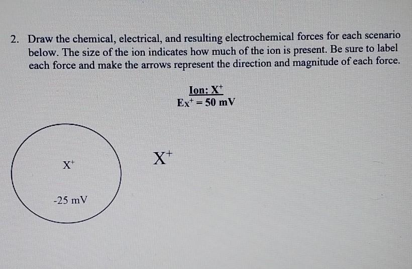 Solved 2. Draw the chemical, electrical, and resulting | Chegg.com