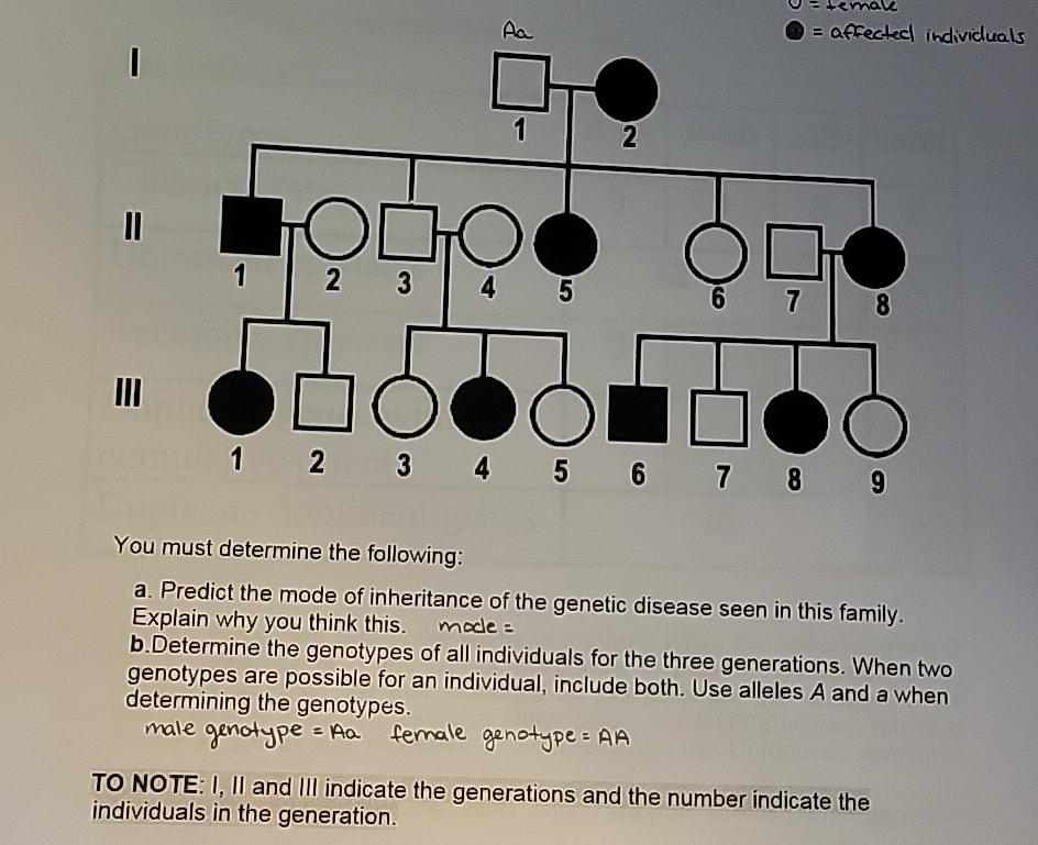 Solved You must determine the following:a. ﻿Predict the mode | Chegg.com