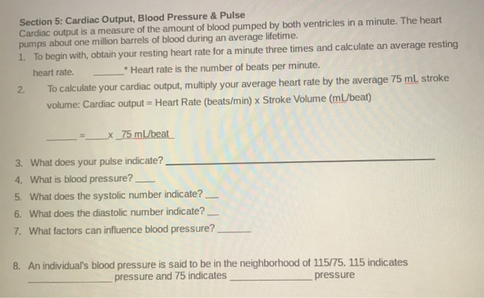 Solved Section 5: Cardiac Output, Blood Pressure & Pulse | Chegg.com