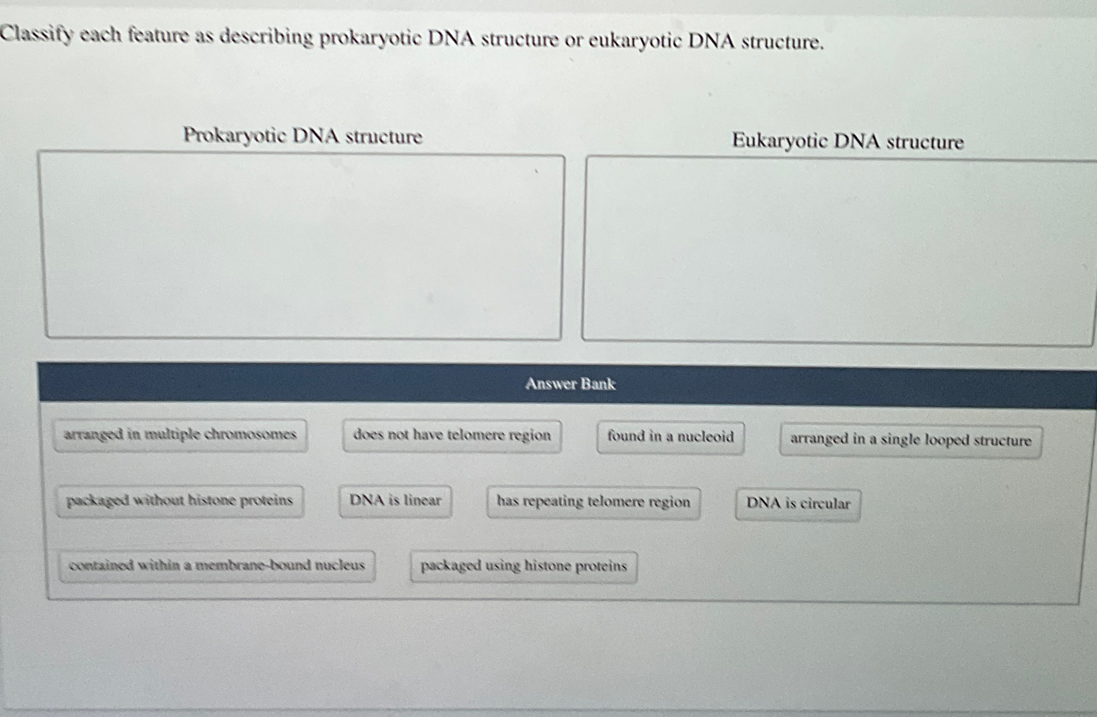 Solved Classify each feature as describing prokaryotic DNA | Chegg.com