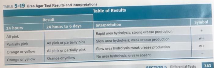 5-18 Urea Hydrolysis (Urease Test) OBSERVATIONS AND | Chegg.com