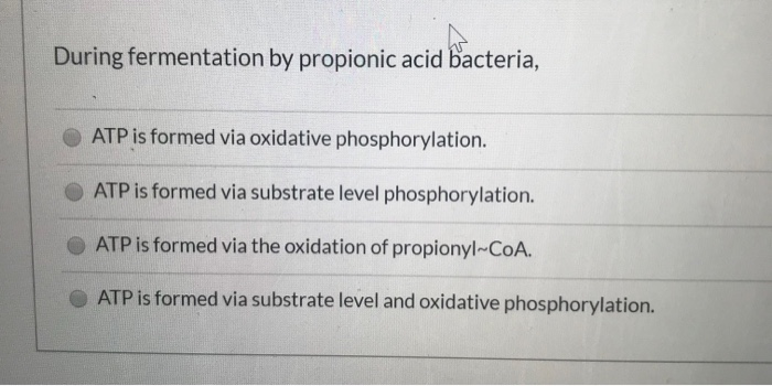 Solved During fermentation by propionic acid bacteria, ATP | Chegg.com