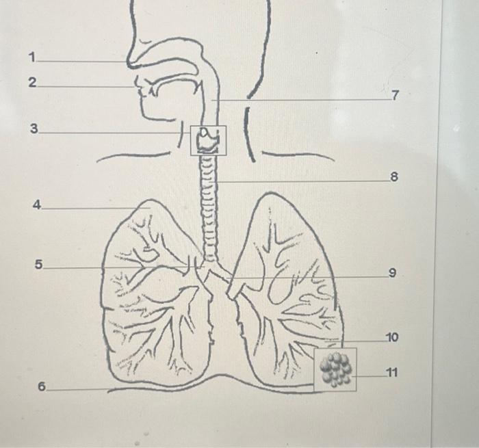 Solved I am posting this again because someone did not do it | Chegg.com