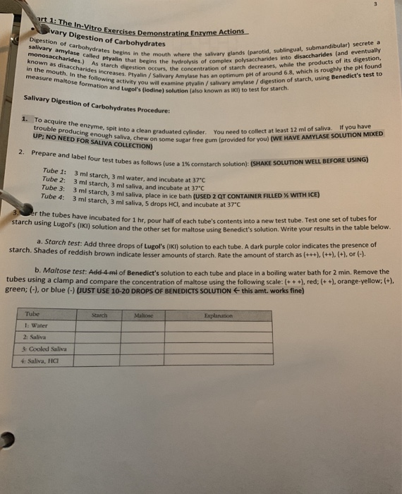 Solved ro Exercises Demonstrating Enzyme Actions art 1: The | Chegg.com