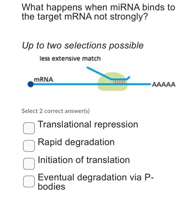Solved What happens when miRNA binds to the target mRNA not | Chegg.com