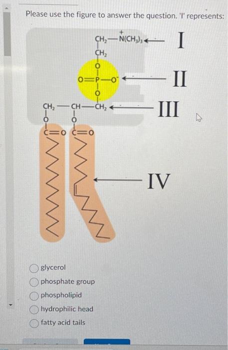 Solved Please use the figure to answer the question. 'I' | Chegg.com