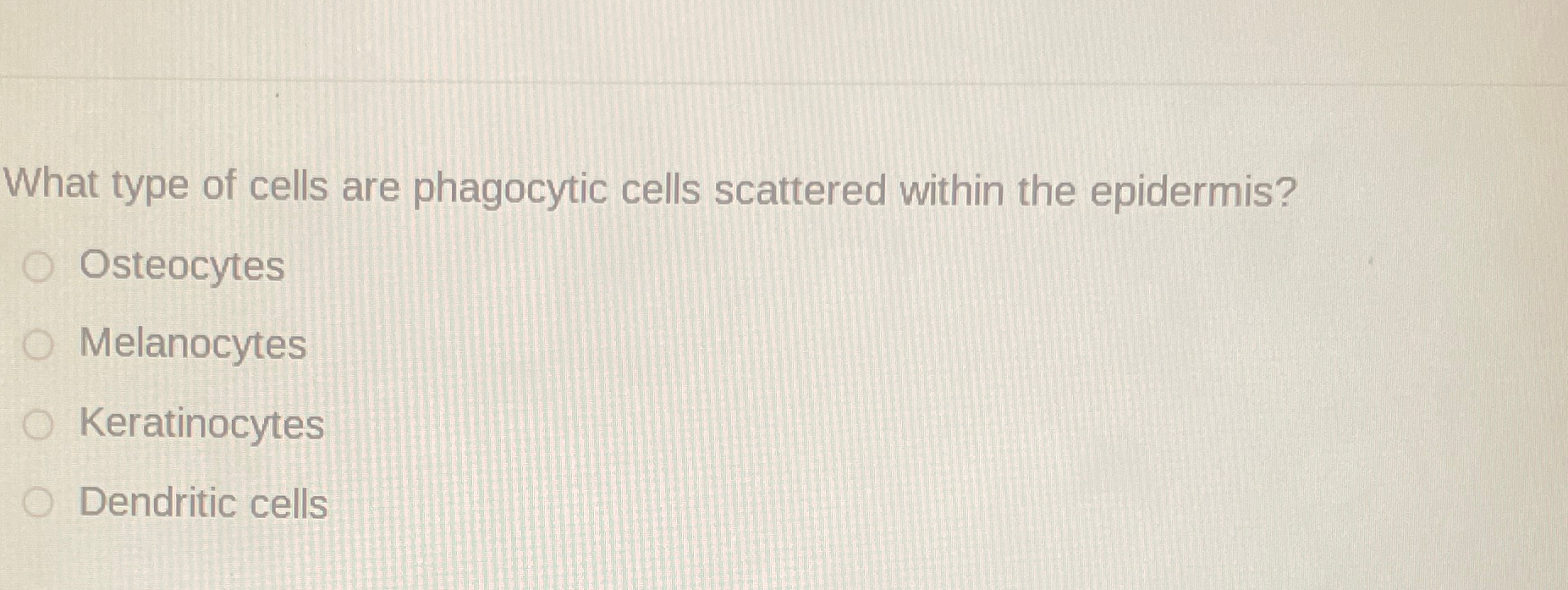 Solved What type of cells are phagocytic cells scattered | Chegg.com