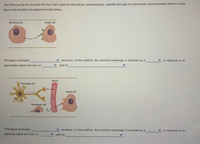 The following figures illustrate the four main types | Chegg.com