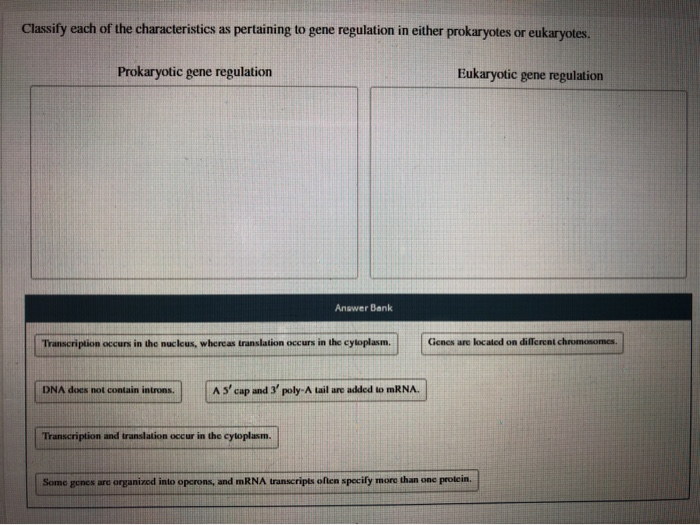 Solved Classify each of the characteristics as pertaining to | Chegg.com