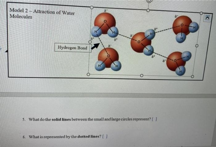 Solved Model 2 - Attraction of Water Molecules CI 8. | Chegg.com
