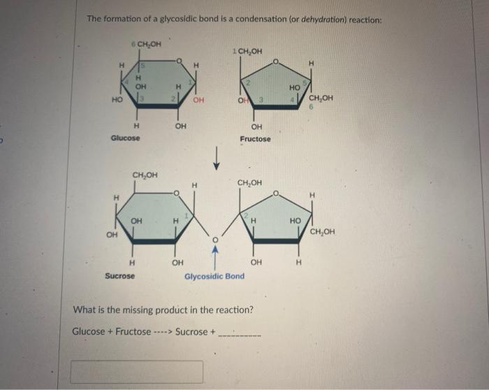 Solved The formation of a glycosidic bond is a condensation | Chegg.com