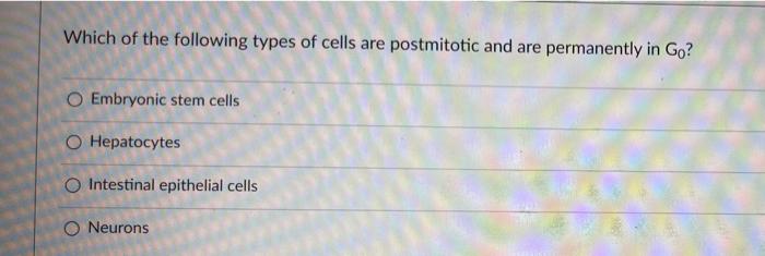 Solved Which of the following types of cells are postmitotic | Chegg.com