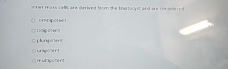 Solved Inner mass cells are derived from the blastocyst and | Chegg.com