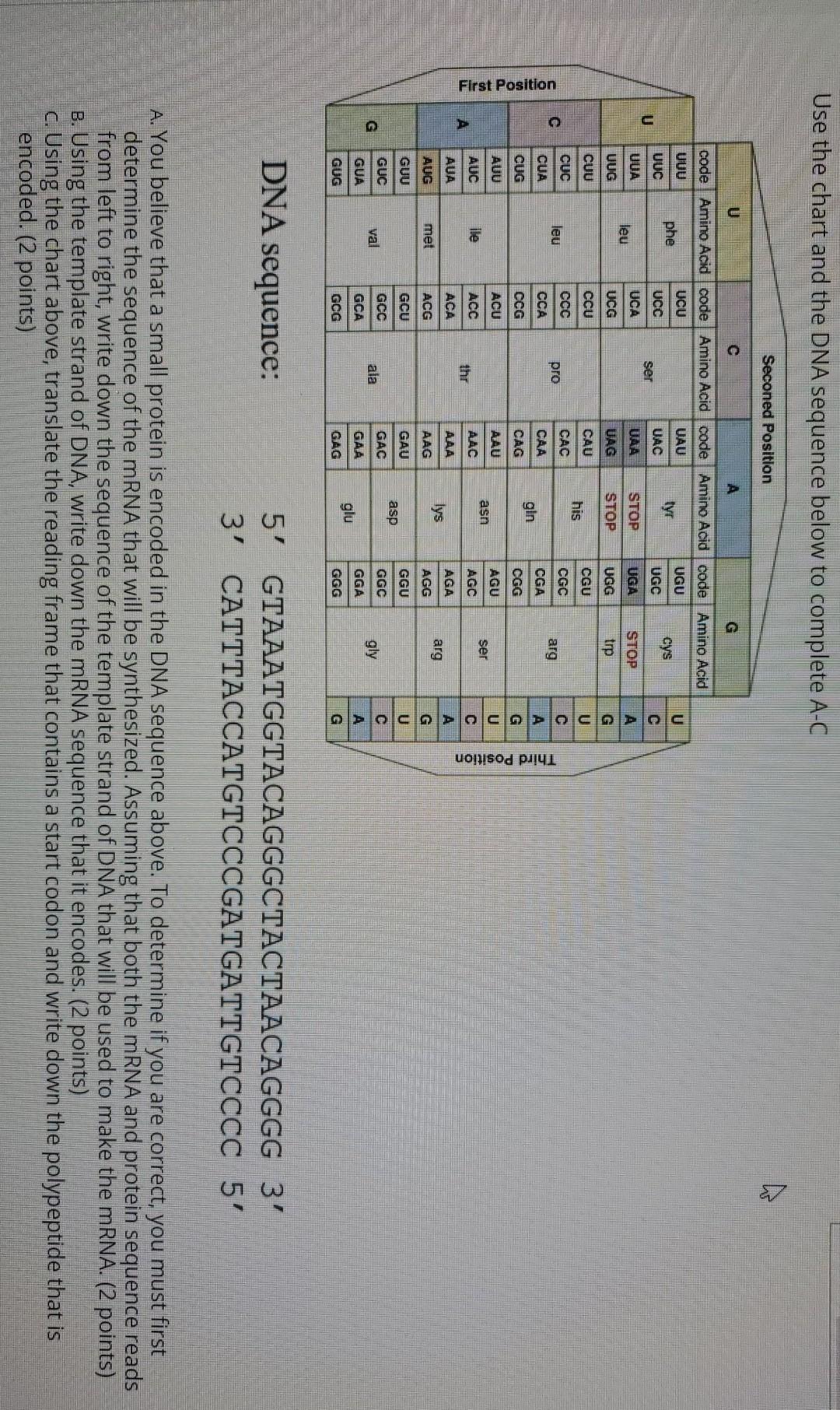 Solved Use the chart and the DNA sequence below to complete | Chegg.com