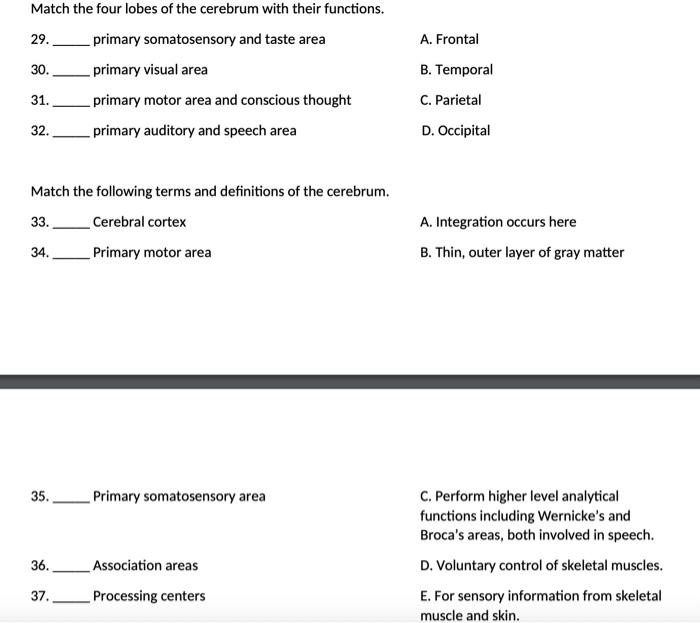 Solved Match the following structures with the appropriate | Chegg.com