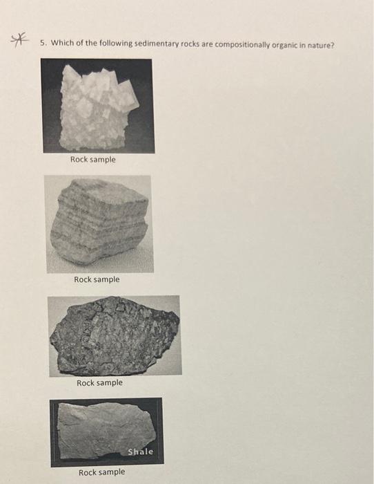 Solved 5. Which of the following sedimentary rocks are | Chegg.com