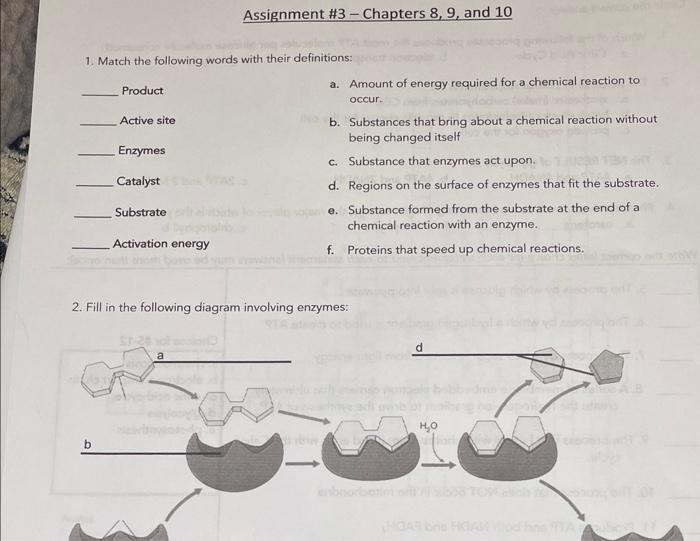 Solved 1. Match the following words with their definitions: | Chegg.com