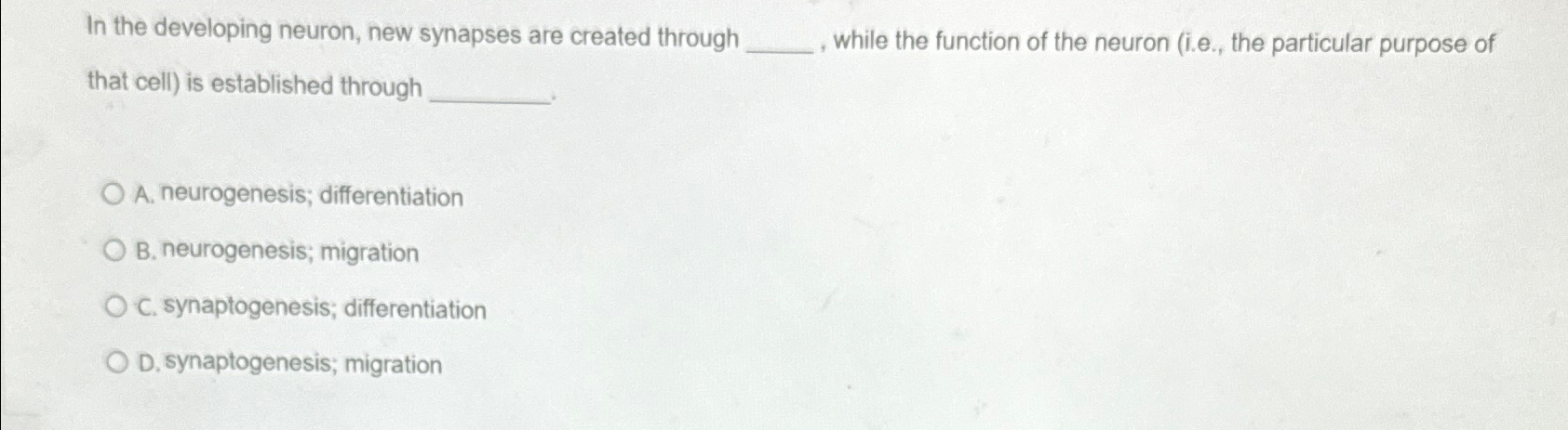 Solved In the developing neuron, new synapses are created | Chegg.com