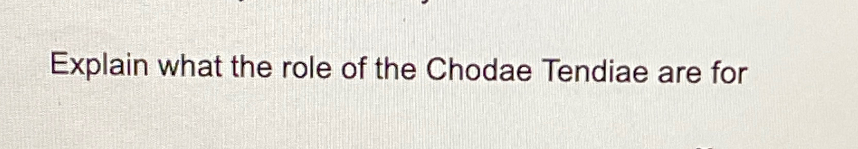 Solved Explain what the role of the Chodae Tendiae are for | Chegg.com