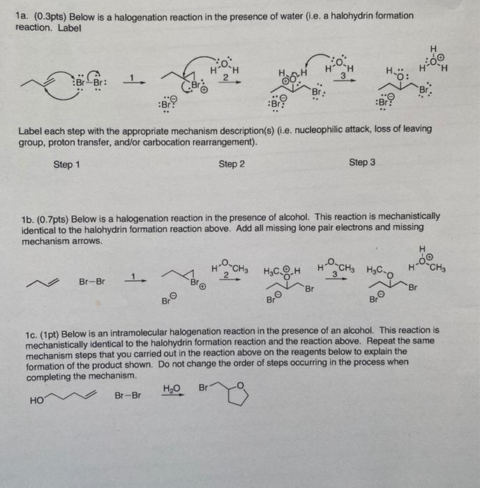 Solved нсна 1a. (0.3pts) Below is a halogenation reaction in | Chegg.com