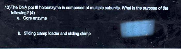 Solved 13) The DNA pol III holoenzyme is composed of | Chegg.com