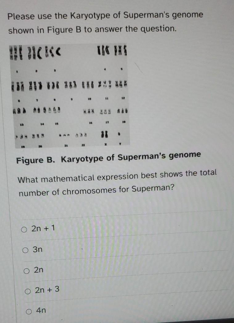 Solved Please use the Karyotype of Superman's genome shown | Chegg.com