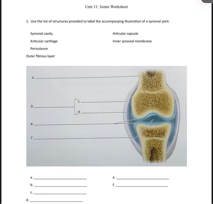 Solved Unit 11: Joints Worksheet 1. Use the list of | Chegg.com