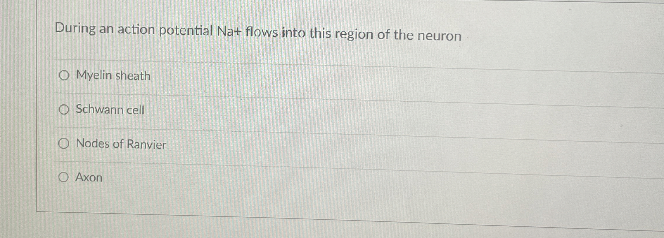 Solved During an action potential Na+ ﻿flows into this | Chegg.com