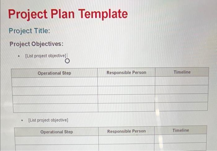 Solved Project Plan Template Project Title: Project | Chegg.com