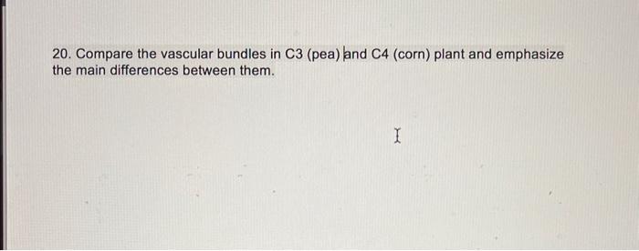 Solved 20. Compare the vascular bundles in C3 (pea) and C4 | Chegg.com