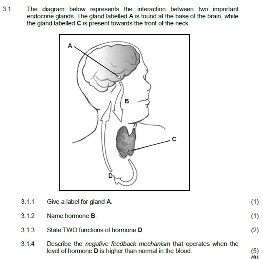 Solved 3.1 ﻿The diagram below represents the interaction | Chegg.com