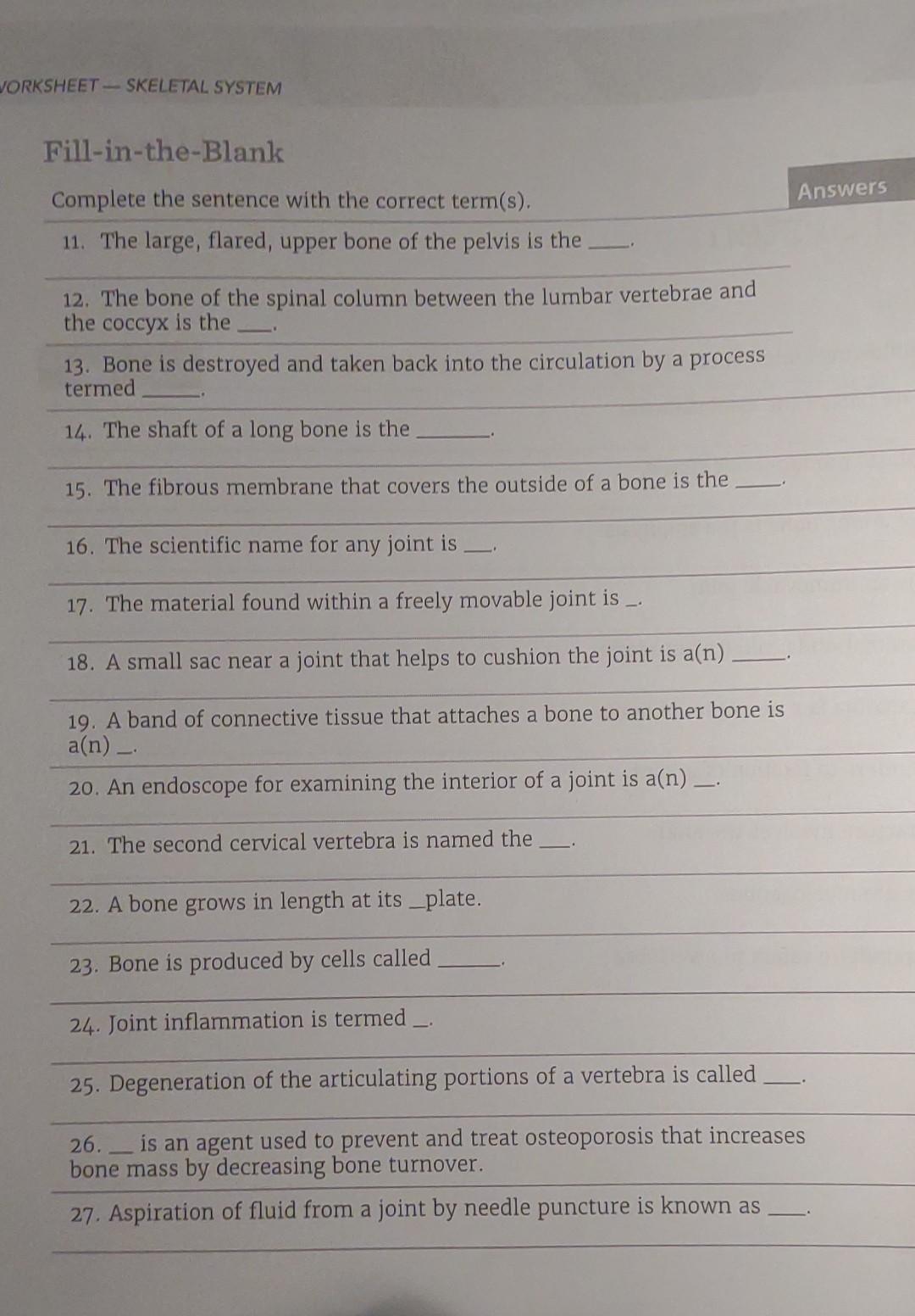 Solved JORKSHEET - SKELETAL SYSTEM Fill-in-the-Blank Answers | Chegg.com