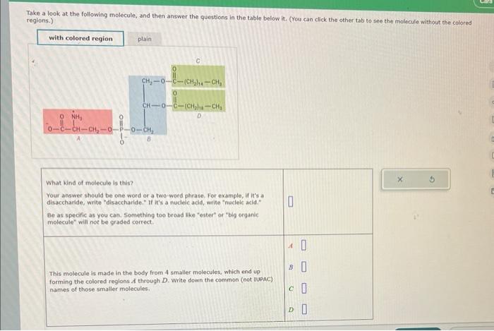 Solved Take a look at the following molecule, and then | Chegg.com