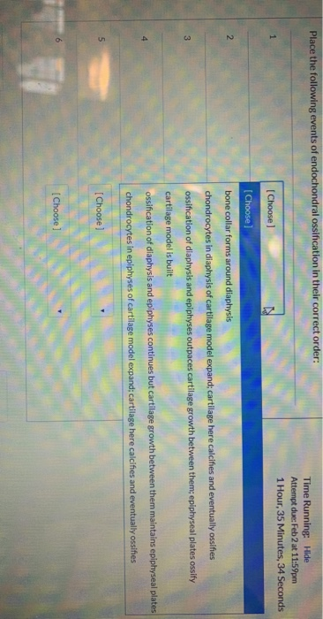 Solved Place the following events of endochondral | Chegg.com