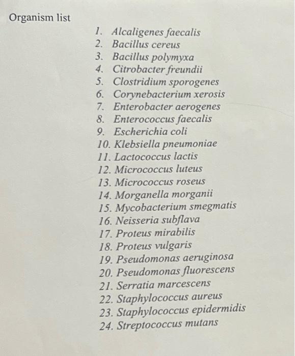 Solved dichotomous key flow chart ??? Bacillaceae bacilli | Chegg.com