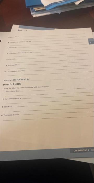 Mervous Tissue Busat. betudites Henteet ceat bedy | Chegg.com