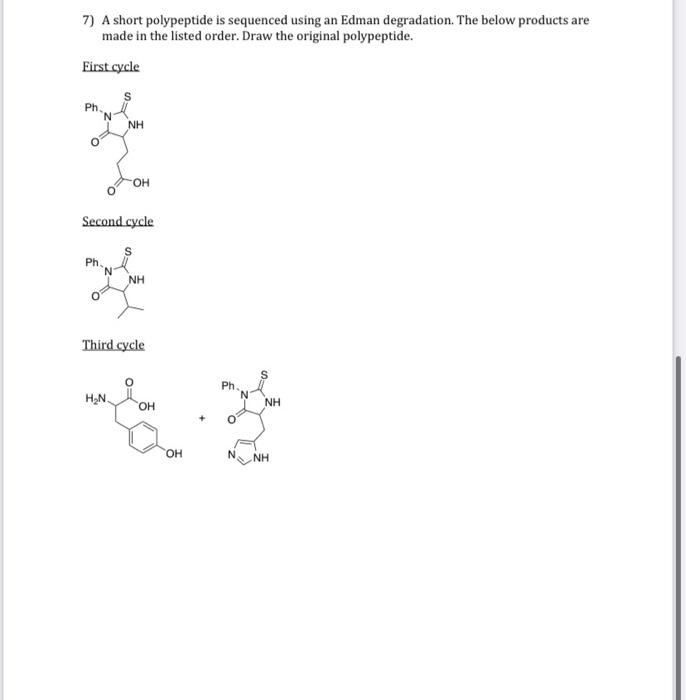 Solved 7) A short polypeptide is sequenced using an Edman | Chegg.com