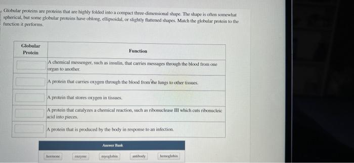 Solved Globular proteins are proteins that are highly folded | Chegg.com