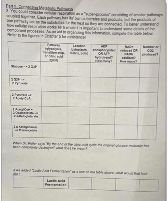 Solved Part II. Connecting Metabolic Pathways 3. You could | Chegg.com