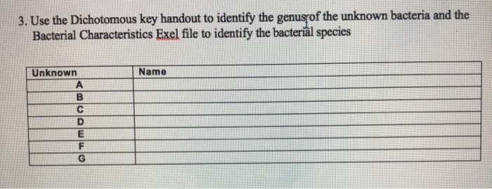 Solved 3. Use the Dichotomous key handout to identify the | Chegg.com
