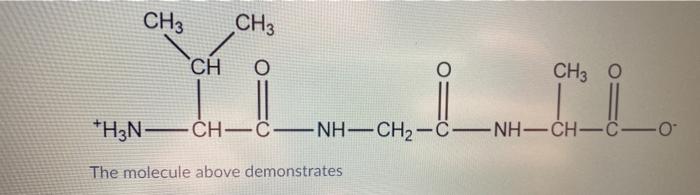 Solved CH3 CH3 CH O CH3 0 do_ *H2N-CH-C-NH-CH2-C-NH-CH-6–07 | Chegg.com