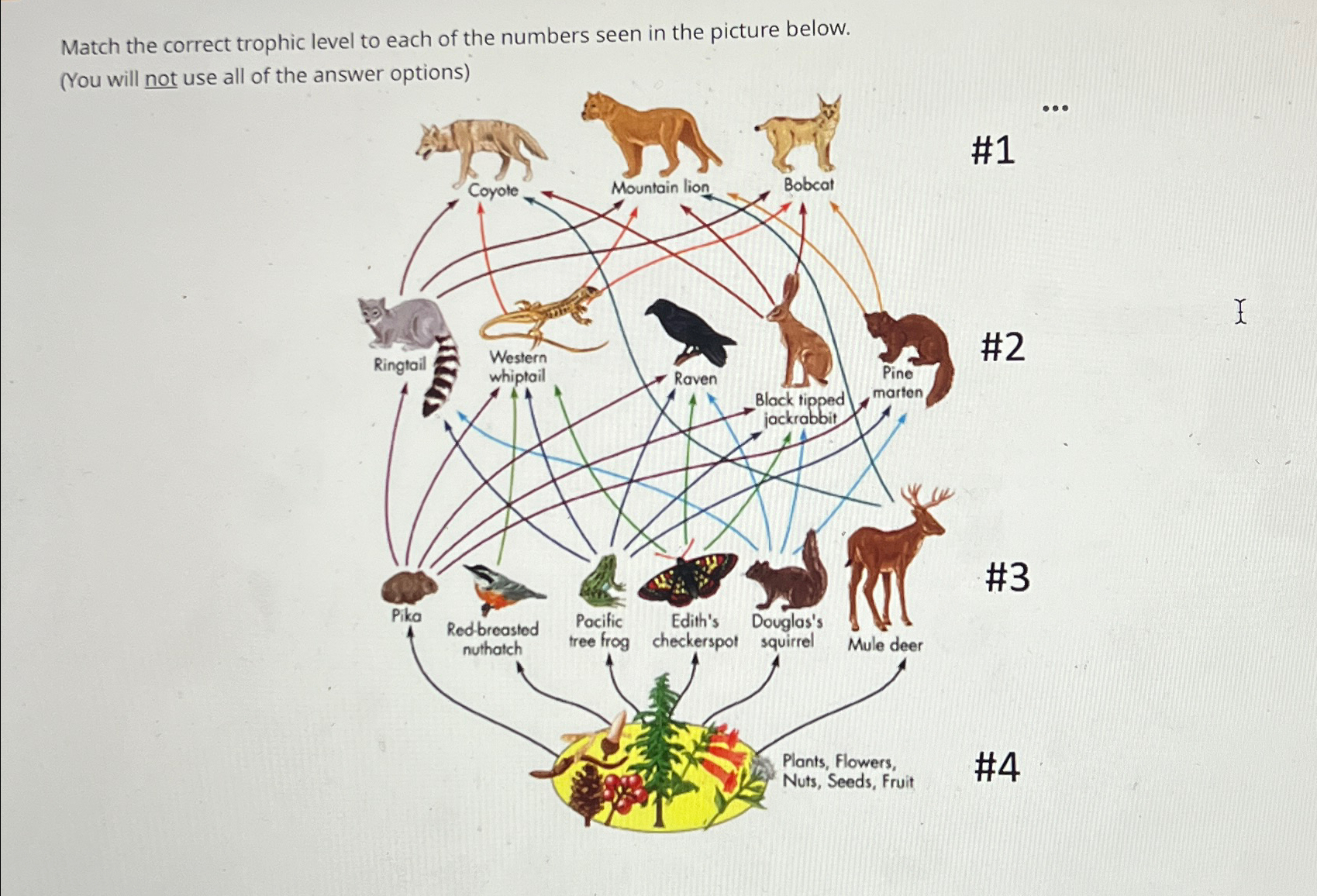 Solved Match the correct trophic level to each of the | Chegg.com