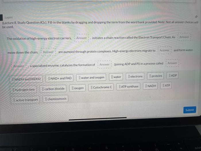 Solved 1 point (Lecture 8, Study Question #2c). Fill-in the | Chegg.com
