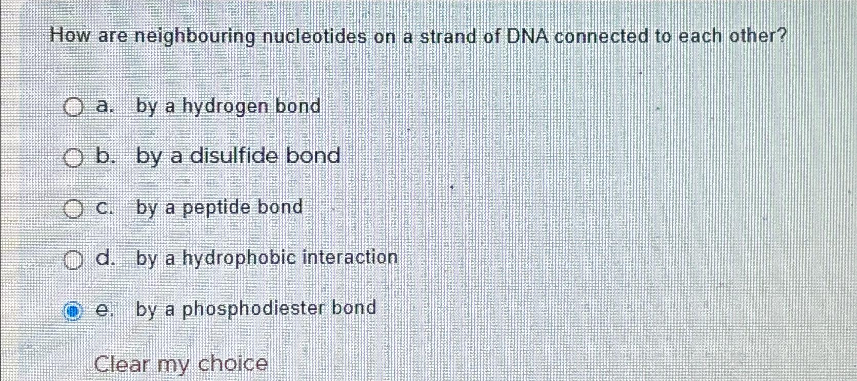 Solved How are neighbouring nucleotides on a strand of DNA | Chegg.com